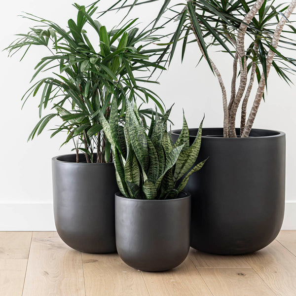 OSLO (set of 3 pots) - Indoor Pot Supply Co.