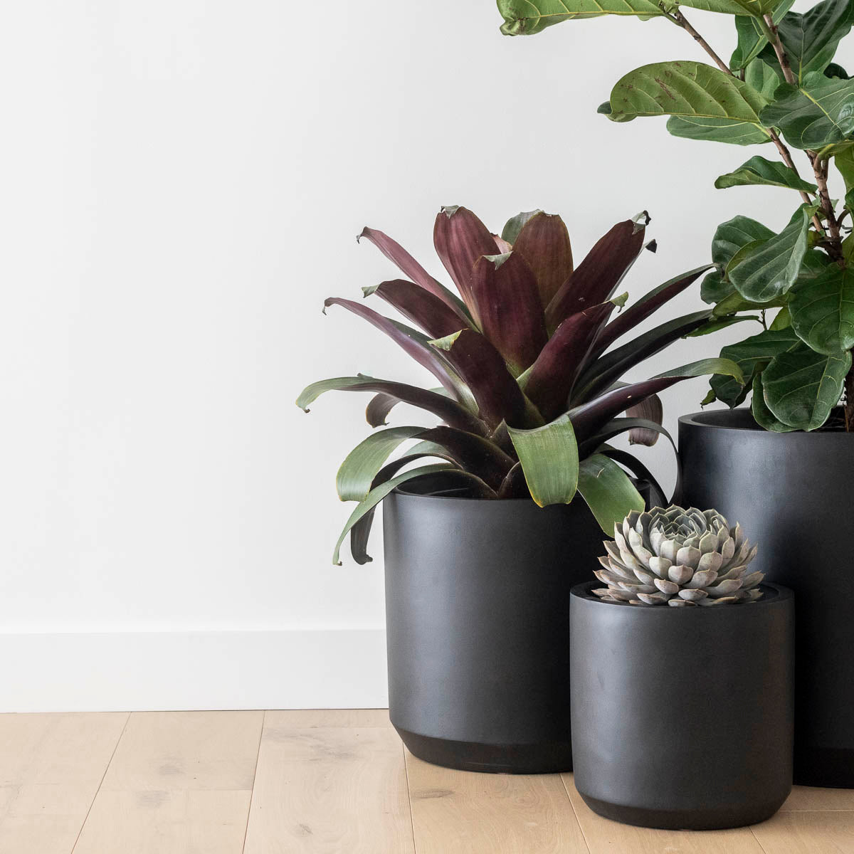 TOKO (Set of 3 pots) - Indoor Pot Supply Co.