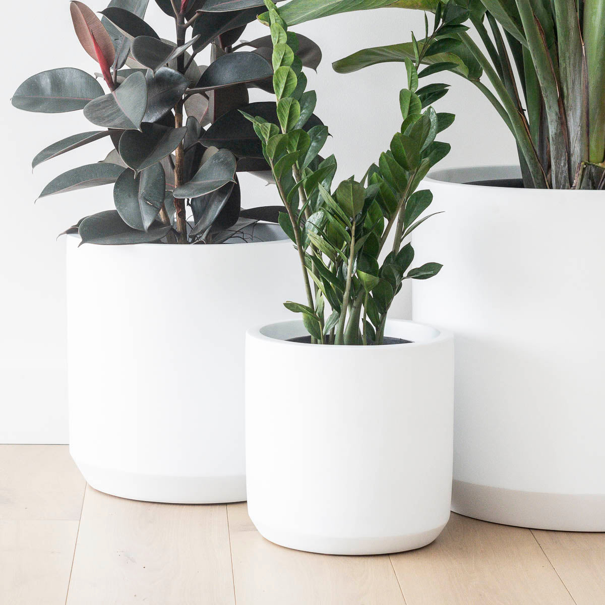 Indoor Pot Supply Co.