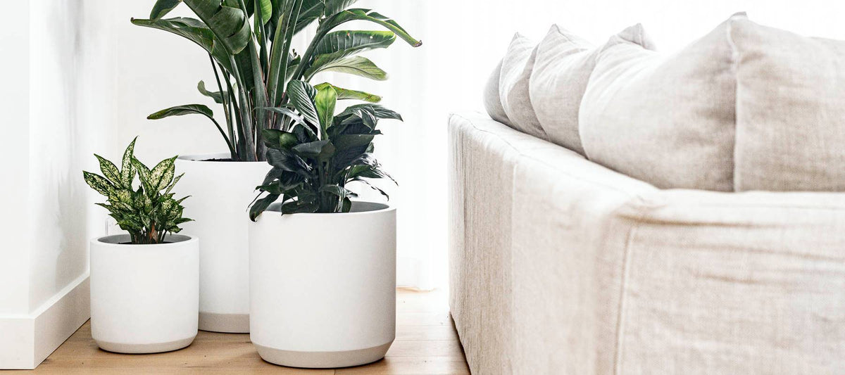 Smart Indoor Pots - Indoor Pot Supply Co.
