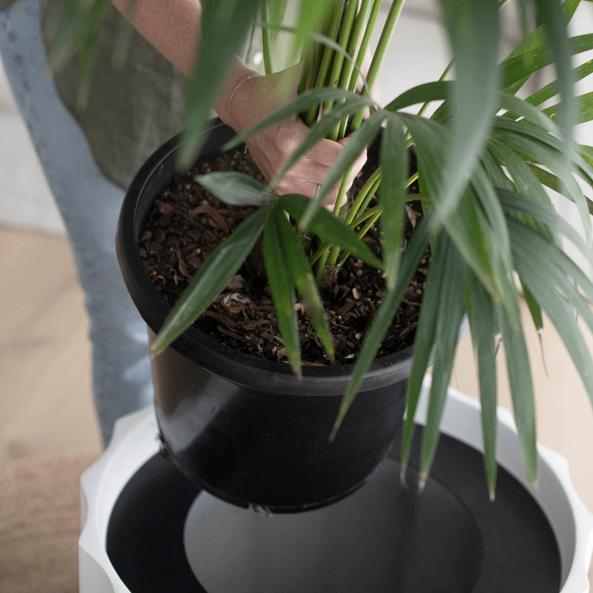 How To Pot Guide - Indoor Pot Supply Co.