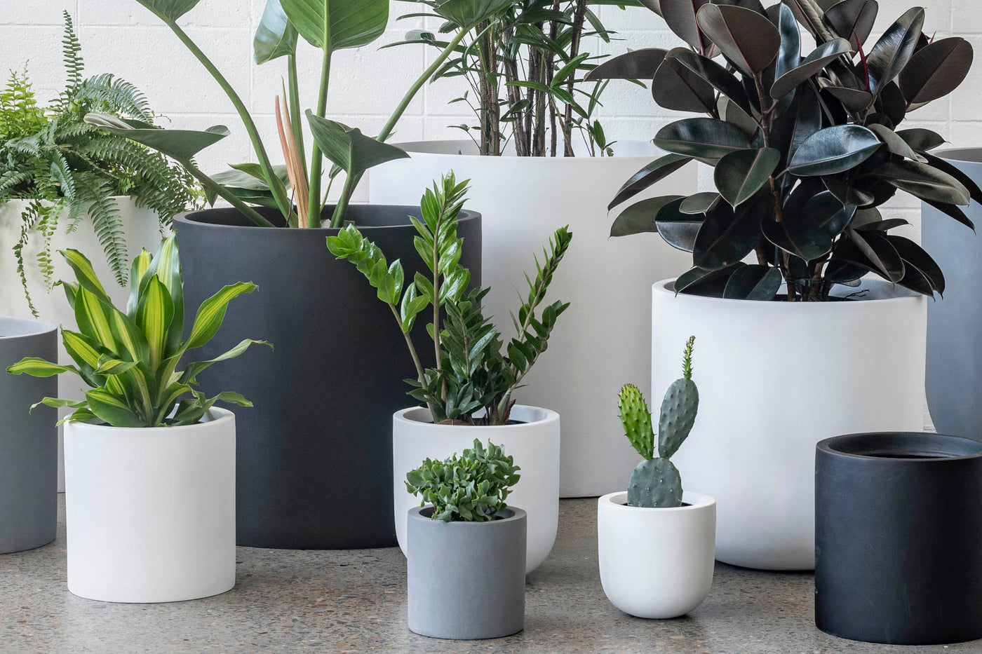 Baja (set of 2 indoor pots) - Indoor Pot Supply Co.