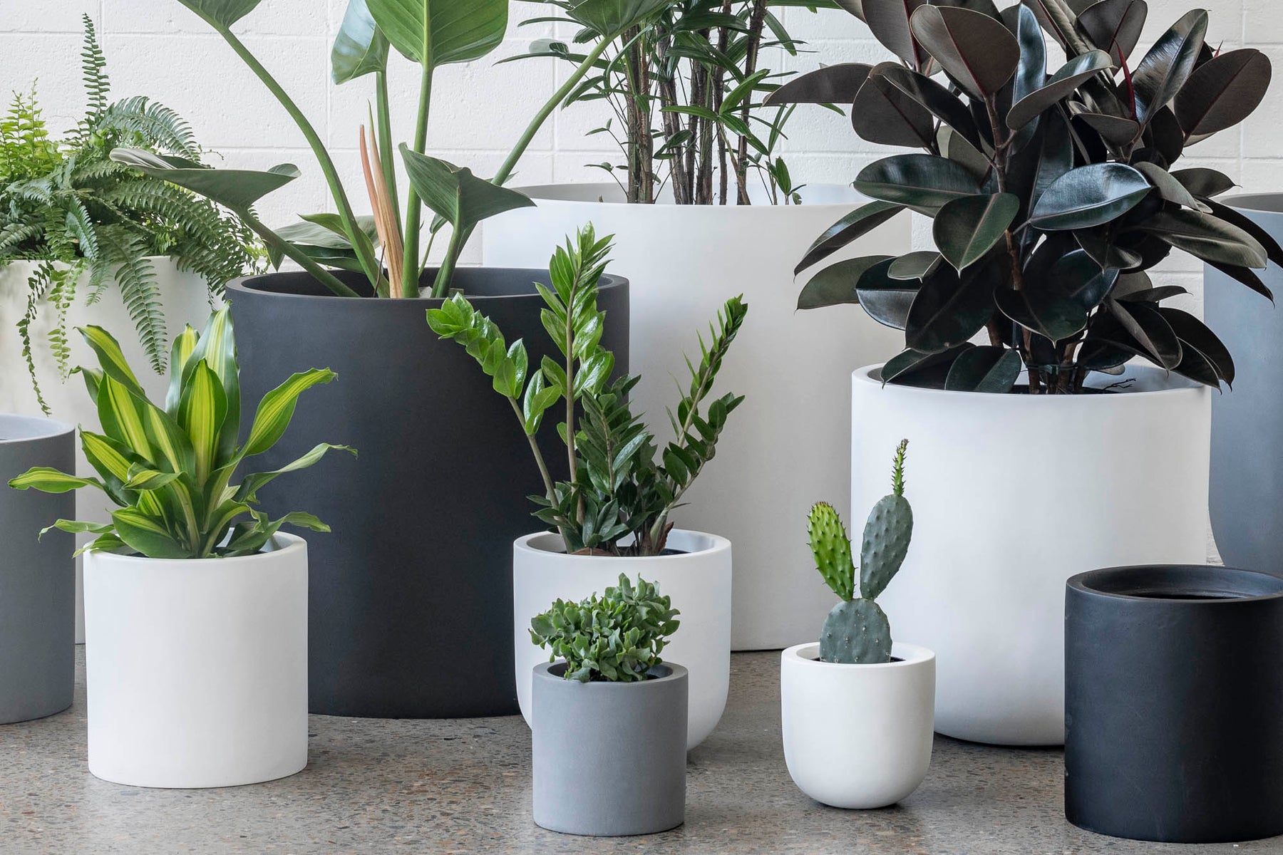 Baja (set of 2 indoor pots) - Indoor Pot Supply Co.