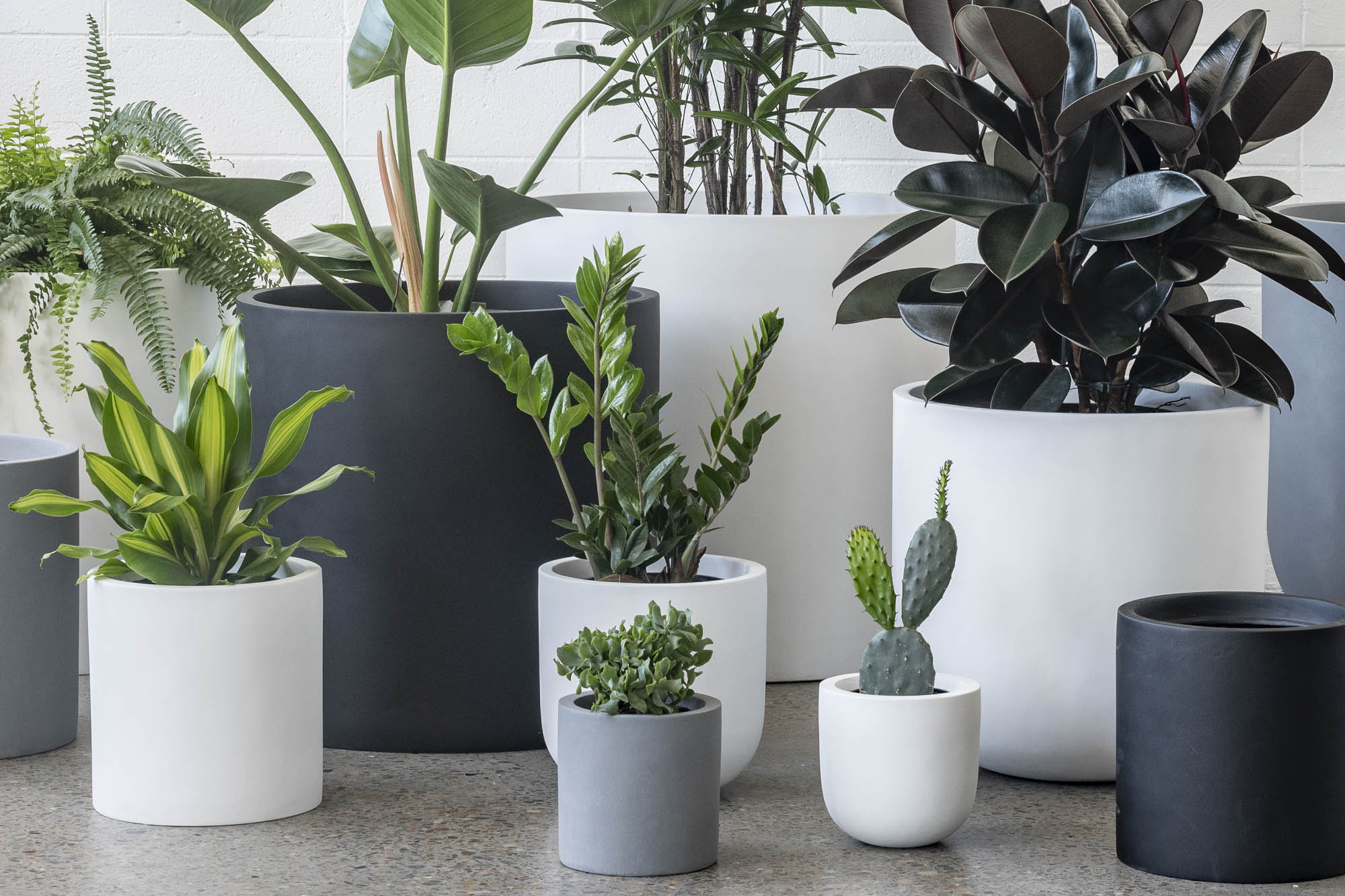 Baja (set of 2 indoor pots) - Indoor Pot Supply Co.